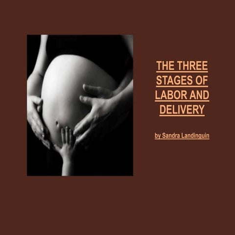 The Three Stages Of Labor And Delivery | PPTX