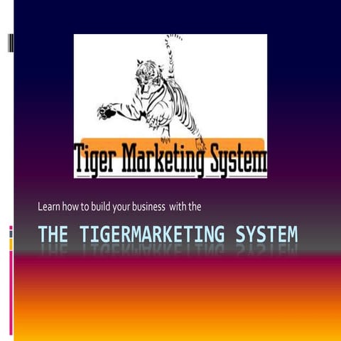 The Tigermarketing System | PPTX