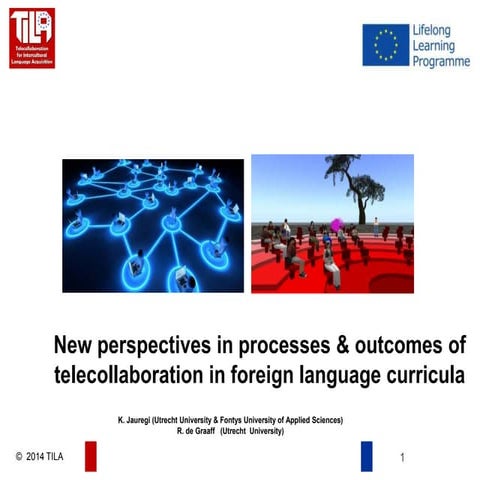 New perspectives on processes and outcome of telecollaboration in ...