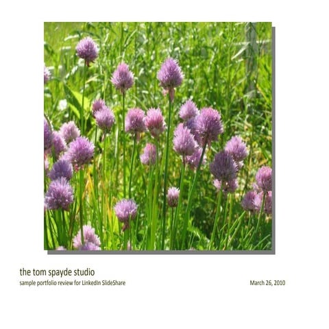 The Tom Spayde Studio For Linked In Slide Share | PPT