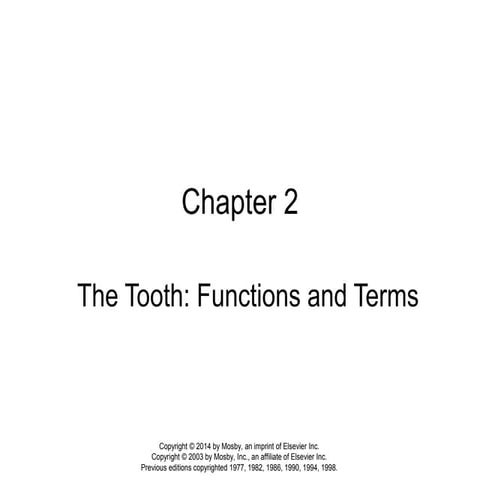 Nomenclature: The tooth functions and terms | PPTX