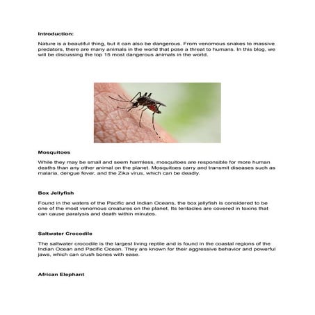 The Top 10 Most Dangerous Animals in the World.pdf