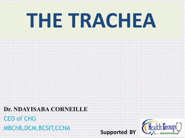 anatomy of trachea.pptx