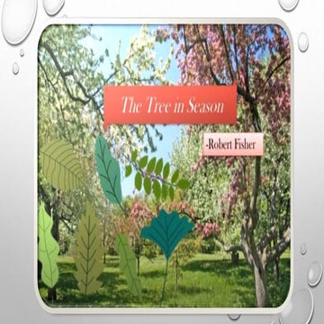 The tree in season | PPT