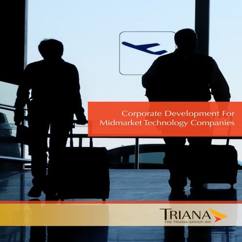 The Triana Group | PDF