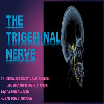 THE TRIGEMINAL NERVE.pptx