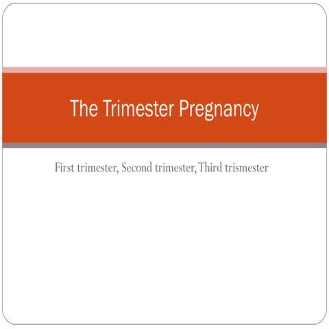 The Trimester Pregnancy | PPT