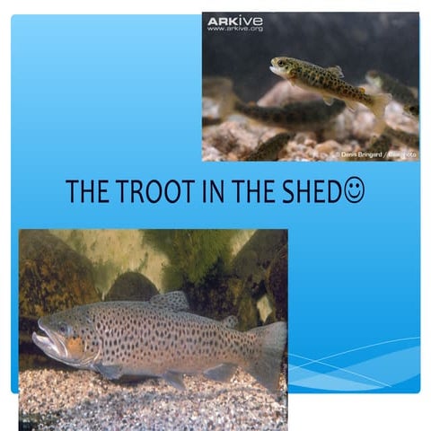 Life cycle of the brown trout zach | PPTX