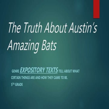The truth about austin amazing bats | PPTX