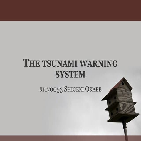 The tsunami warning system (week 12 cwhw) | PDF