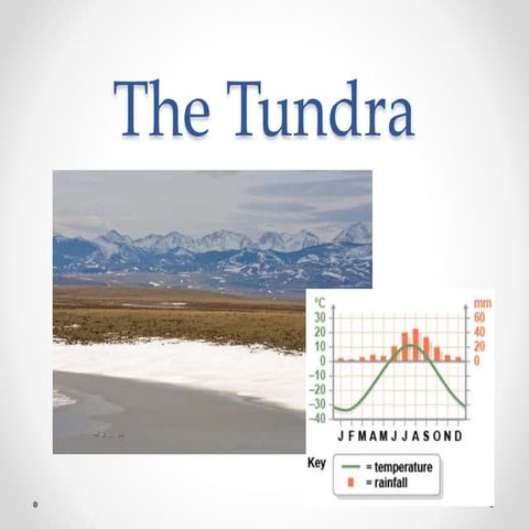 Tundra | PPTX