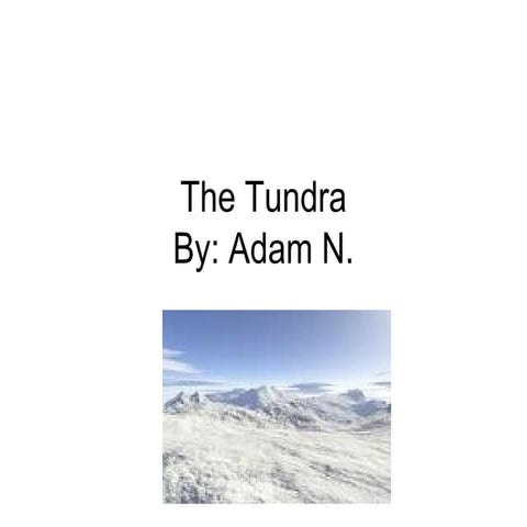 The Tundra Noeth | PPT