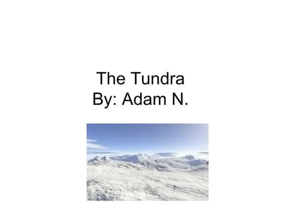 Tundra presentation unit 9 | PPT