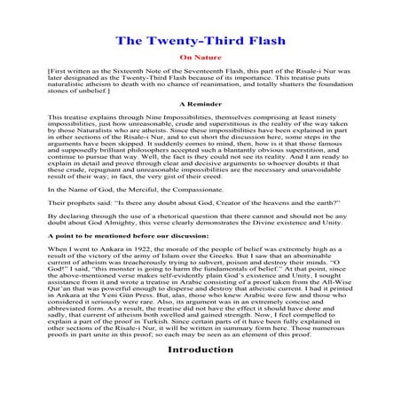 The Twenty Third Flash | DOC