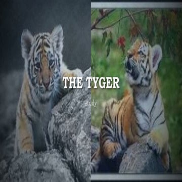 The Tyger | PPTX