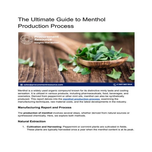 The Ultimate Guide to Menthol Production Process.pdf