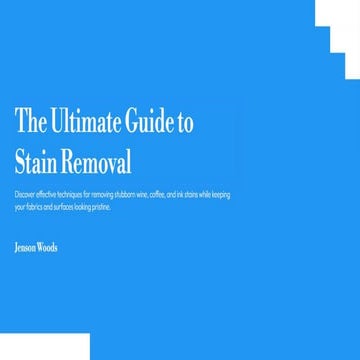 The Ultimate Guide to Wine, Coffee & Ink Stain Removal.pdf