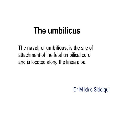 presentatrion about umbilicus development | PPT