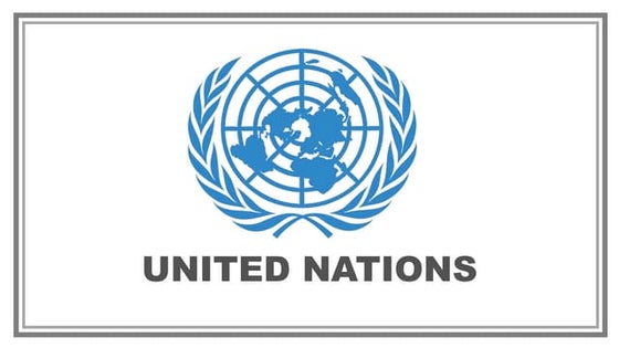 Introduction to the United Nations System | PPT
