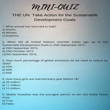 QUIZ The UN: Take action for the sustainable development goals, by ANA ...