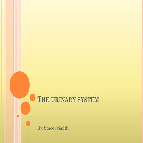 8. The Urinary System (8).pptx