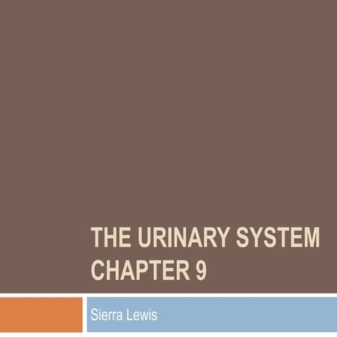 5 Abbreviations Regarding Urinary System | PPTX