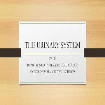 The urinary system | PPT