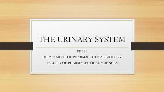 Physiology of Urine Formation | PPTX