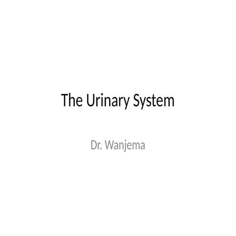 The urinary system's function is to filter blood and create urine as a ...