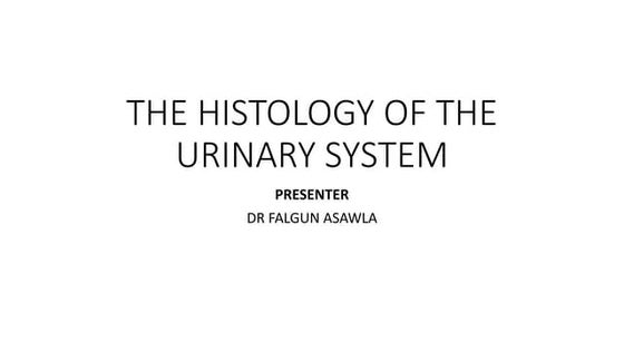 EXCRETORY STRUCTURE IN FISH .pptx