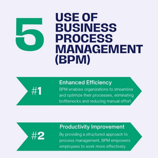 The use of business process management (BPM).pdf