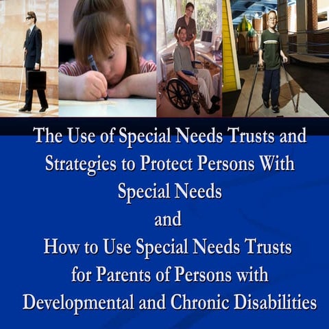 The use of snt and strategies | PPT