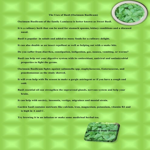 The uses of basil | PDF