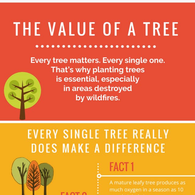 The Value of a Tree | PDF