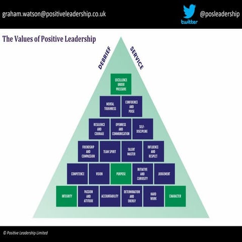 The Values of Positive Leadership™ | PDF