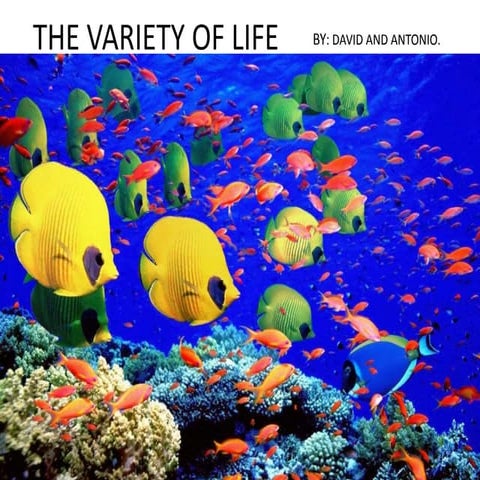 The variety of life (2) | PPT