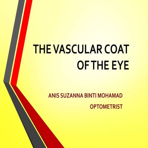 Vascular layer of the eye | PPTX