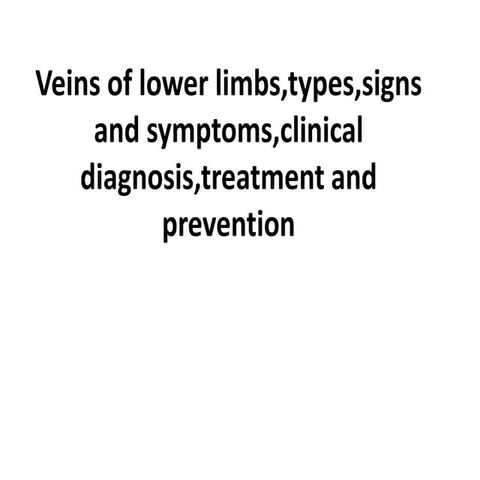 Blood Vessels of Lower Limb.pptx