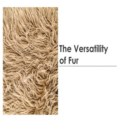 The Versatility of Fur | PPT