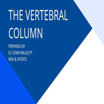 Nerve Conduction Velocity (NCV) Study: Principles, Procedure & Clinical ...