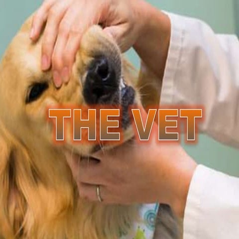 'The vet' std 8th L.L English SSC board | PPTX