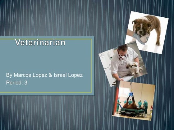 Veterinarian powerpoint | PPTX | Veterinary Medicine | Pets