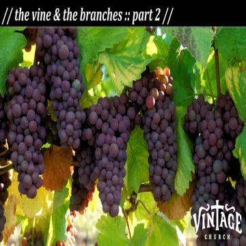 The Vine and The Branches - Part 2 | PPT