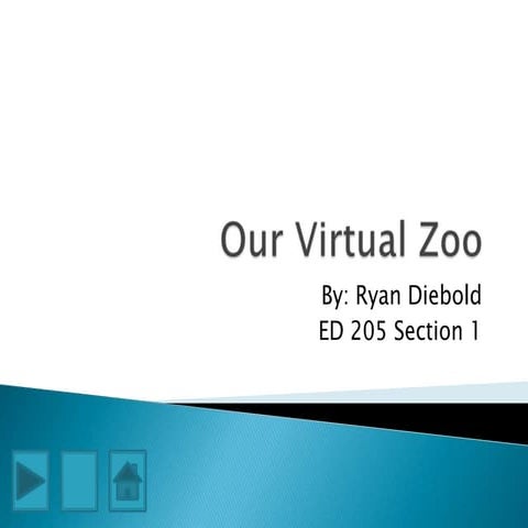 The Virtual Zoo | PPTX