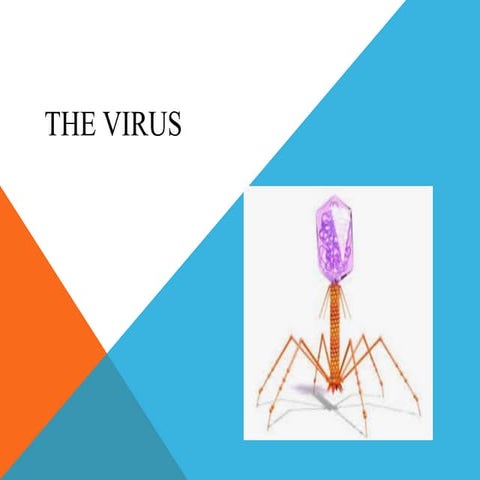 THE VIRUS.pptx