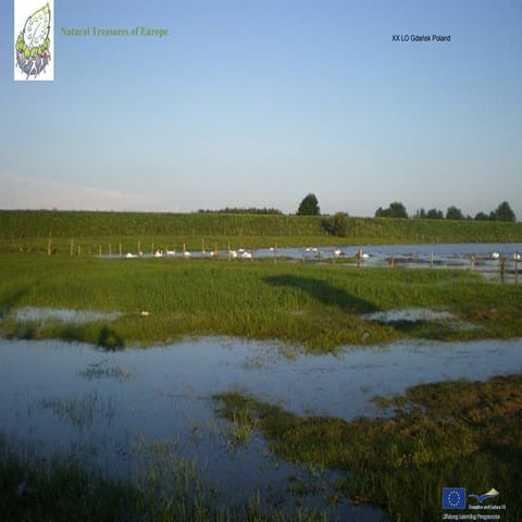 The vistula river biodiversity - comenius project | PPT