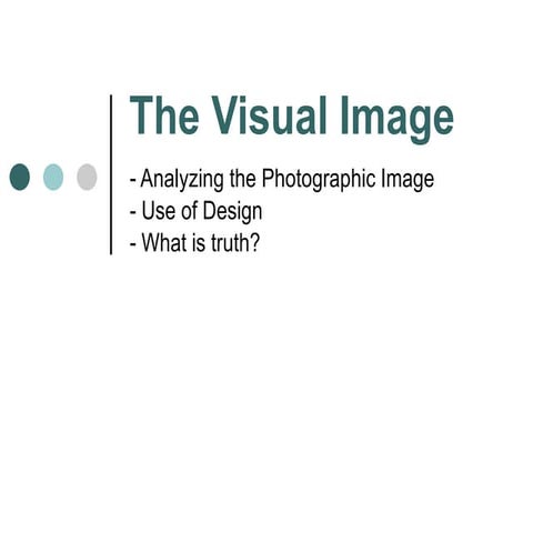 The visual image | PPT