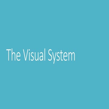 The visual system | PPT