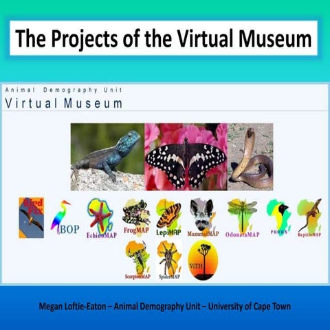 The Projects of The Virtual Museum | PPTX