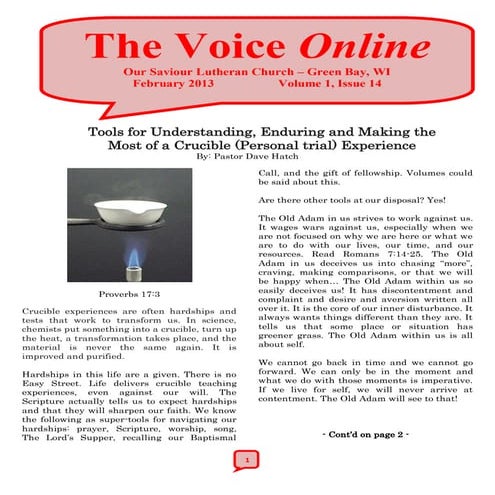 The voice feb 2013 | PDF